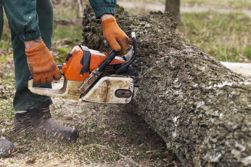 Forestry Tax Refund - Claim your tax refund!